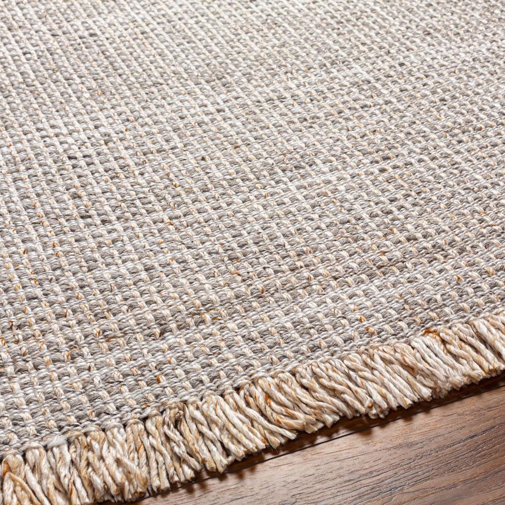 Zedric Coastal Beach Beige Solid Indoor Outdoor Rug - Sample Sample ...