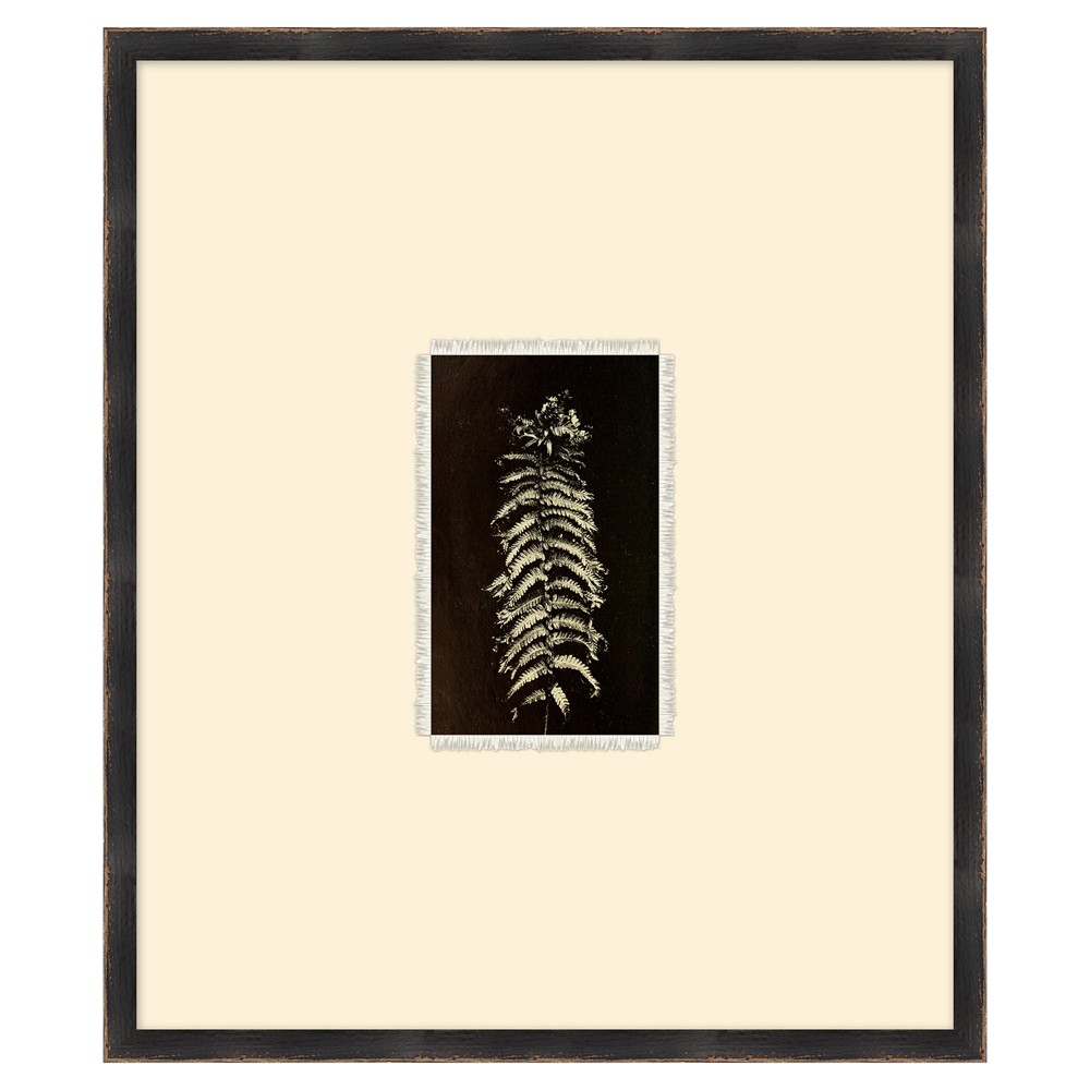 Mabel Traditional Black Fern Botanical Black Frame Painting 4 - 28x24 ...